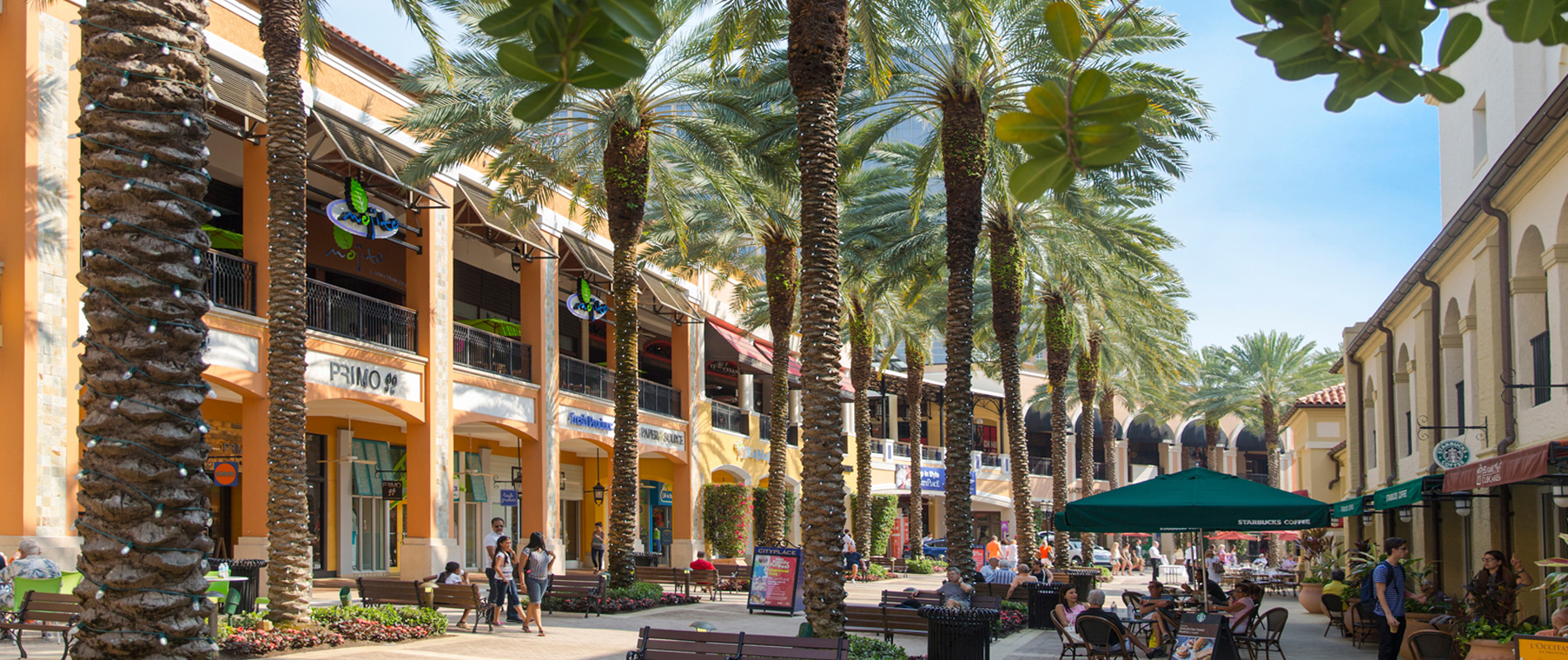 World Waterpark Association | Waterpark