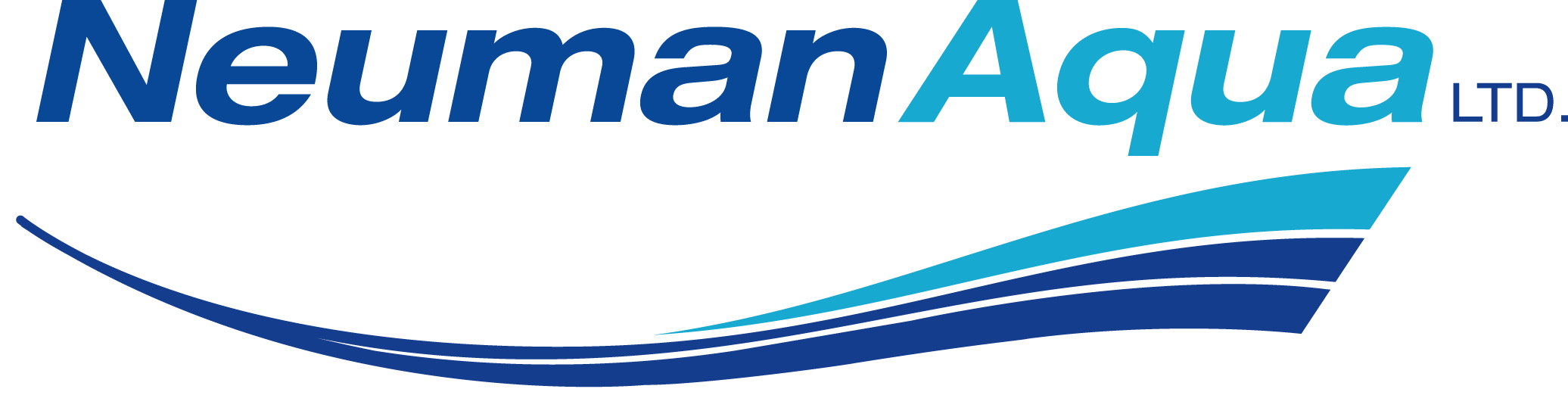 World Waterpark Association | Waterpark